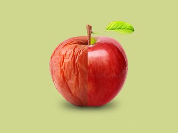 Business Impact Report: Helping People and Planet Prosper