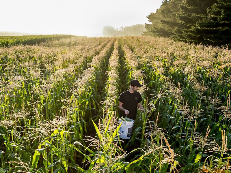 Empowering Communities